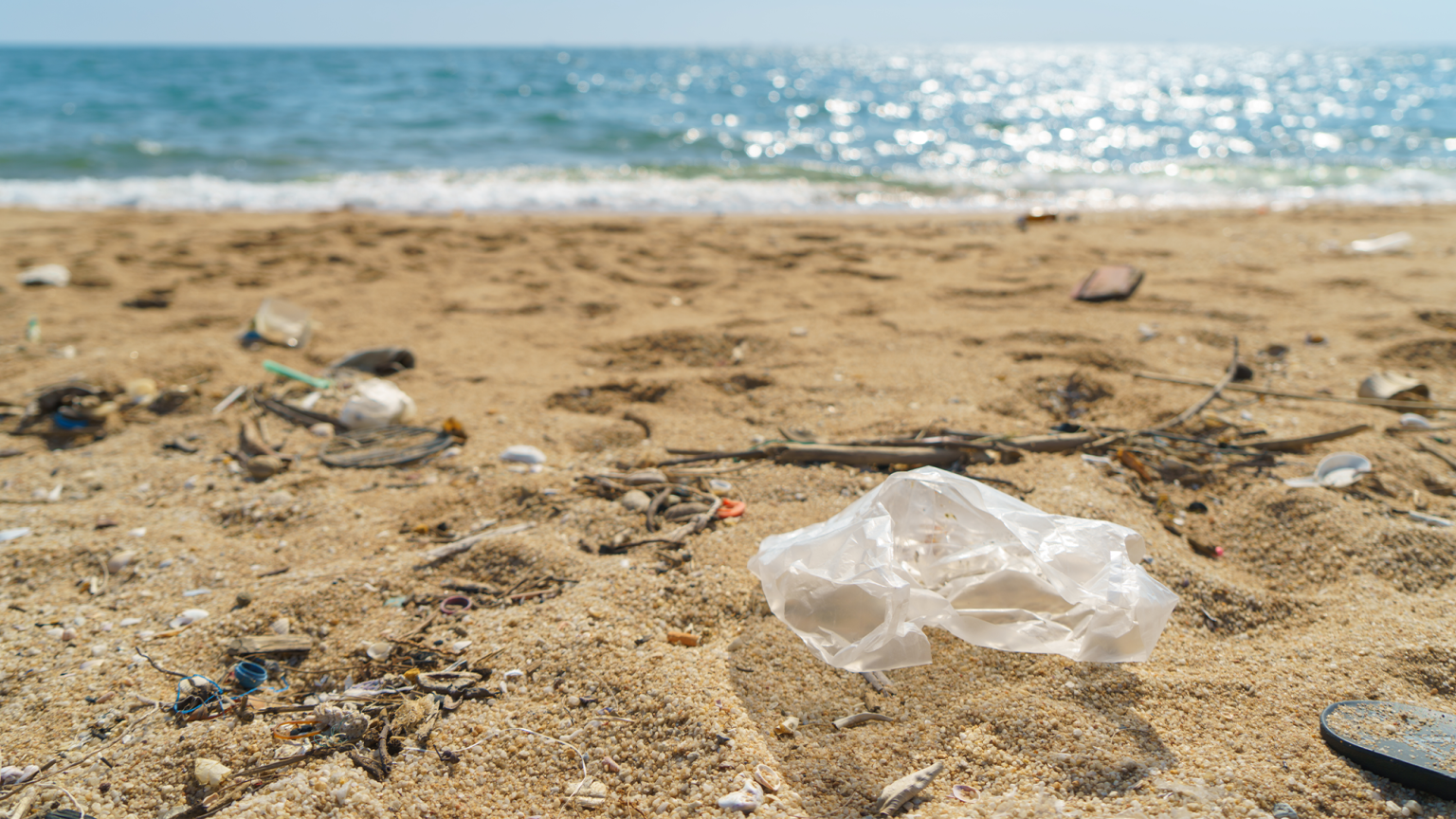 Plastic bag bans work, new study shows | Popular Science
