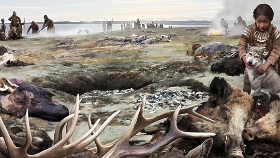 Stone Age humans extracted animal teeth with flames, blades, and fleshy ...