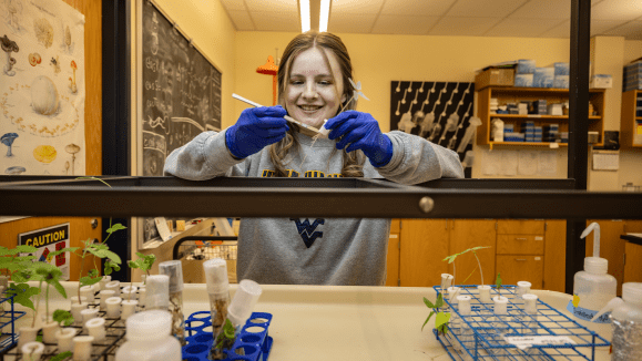 College student discovers mysterious fungus that eluded LSD's inventor ...