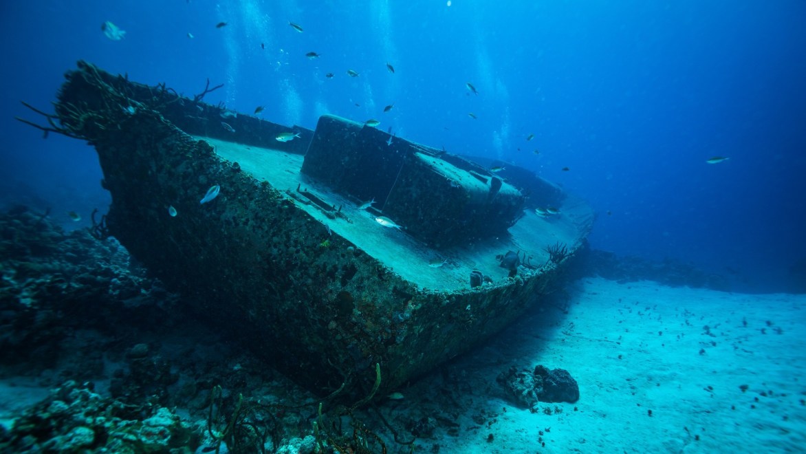 What to do if you find a shipwreck | Popular Science