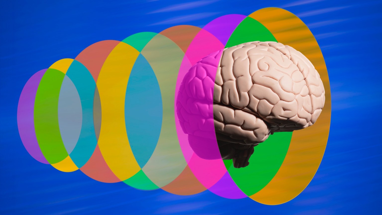 What happens when our brain goes blank | Popular Science