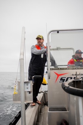 Decoding the fingerprint of a humpback whale | Popular Science