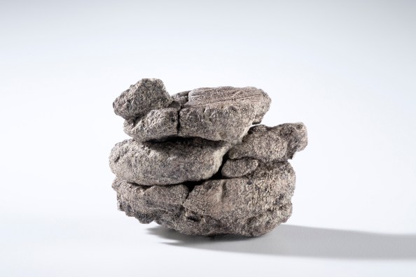 Denver museum finds dinosaur bone under its parking lot | Popular Science