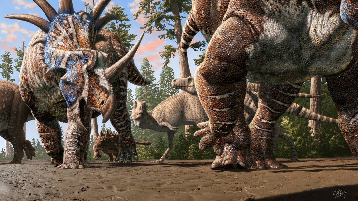 Dinosaurs roamed in multi-species herds, fossilized footprints show | Popular Science