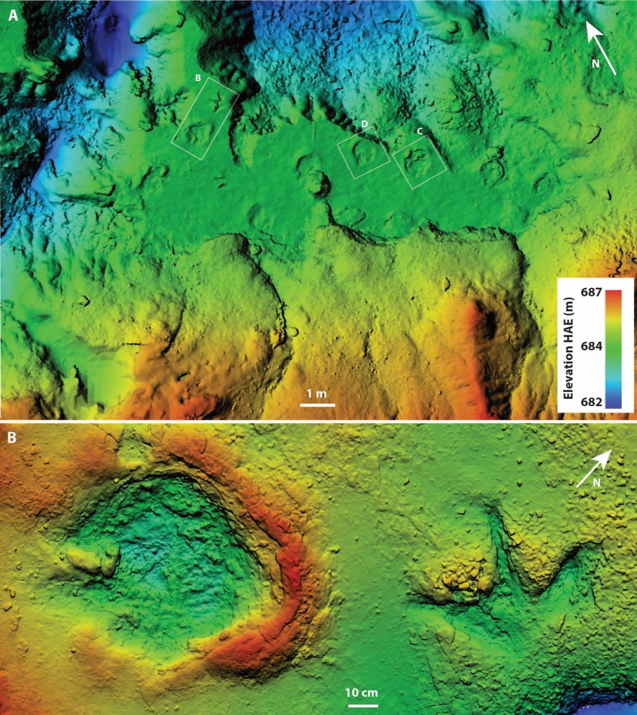 Dinosaurs roamed in multi-species herds, fossilized footprints show ...