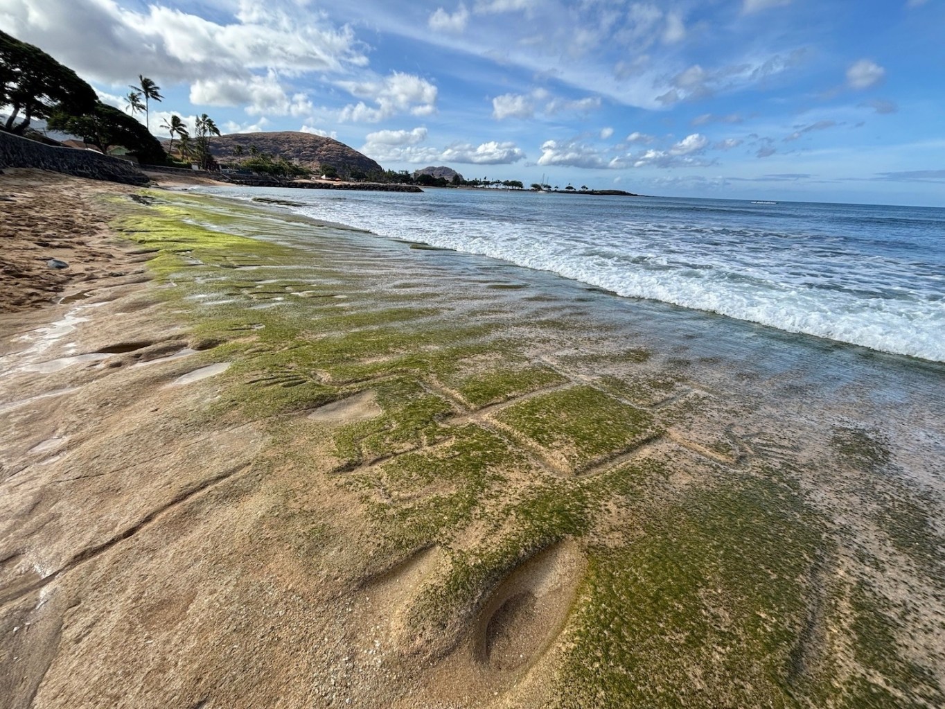 500-year-old petroglyphs resurface on Hawai’i beach | Popular Science