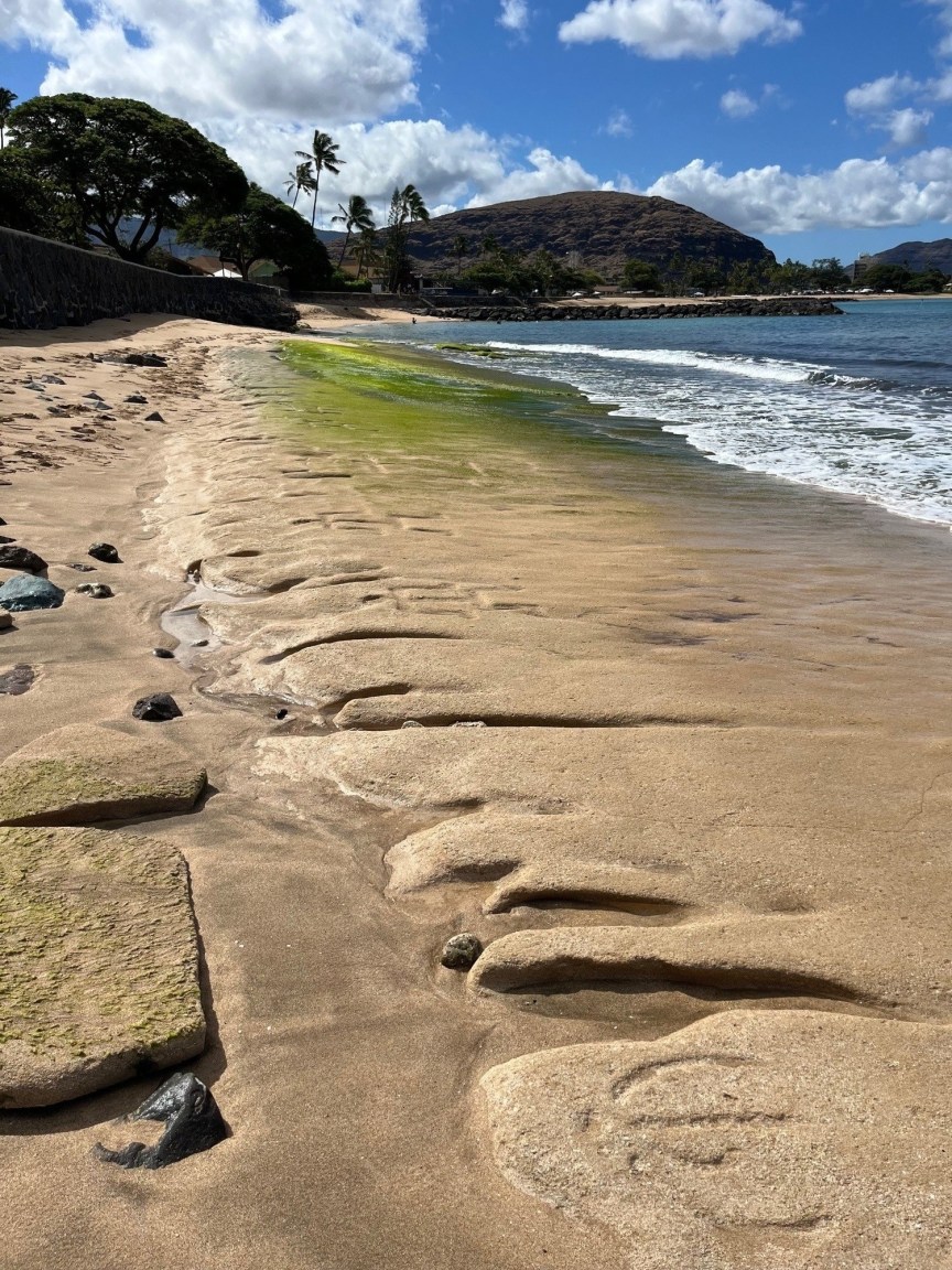 500-year-old petroglyphs resurface on Hawai’i beach | Popular Science