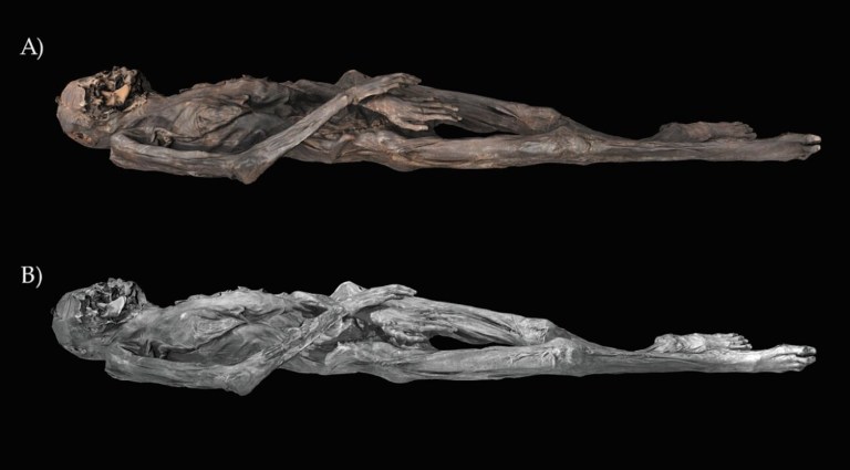 Tattoo artists and scientists resurrect a 2,000-year-old mummy’s ink ...