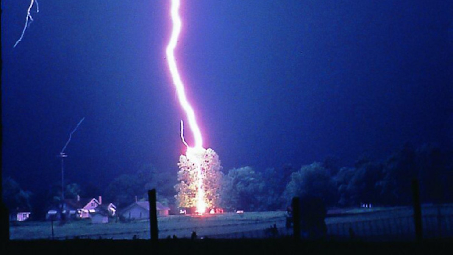 Lightning kills 320 million trees each year | Popular Science