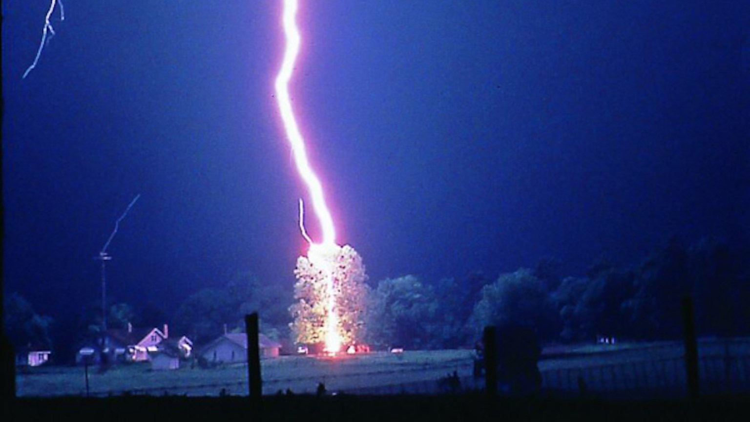 Lightning kills 320 million trees each year | Popular Science