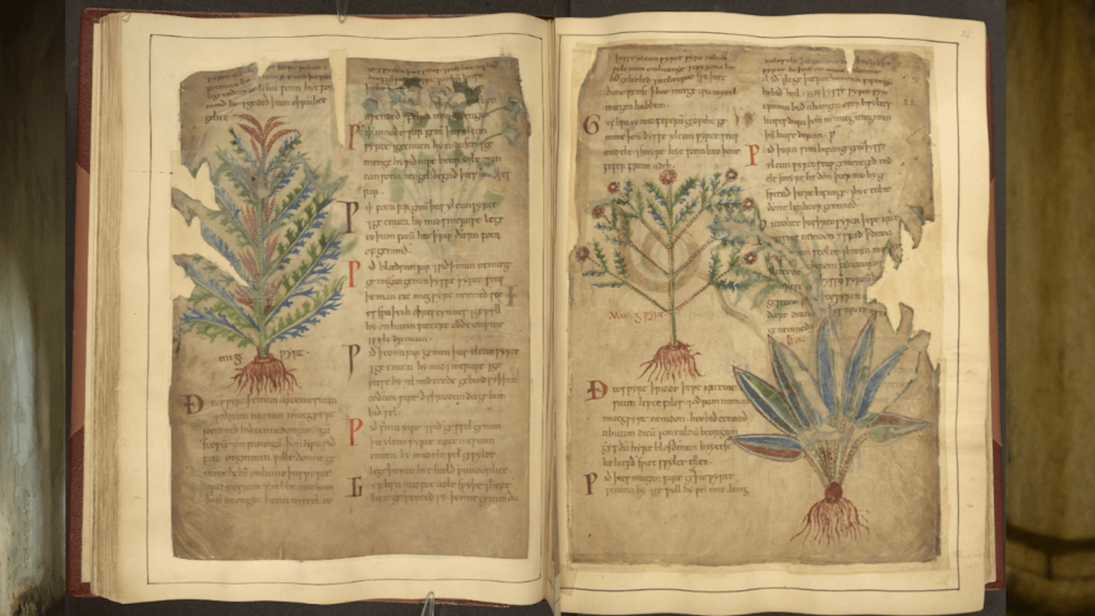 Modelpov jamie see previous reviews for more details.