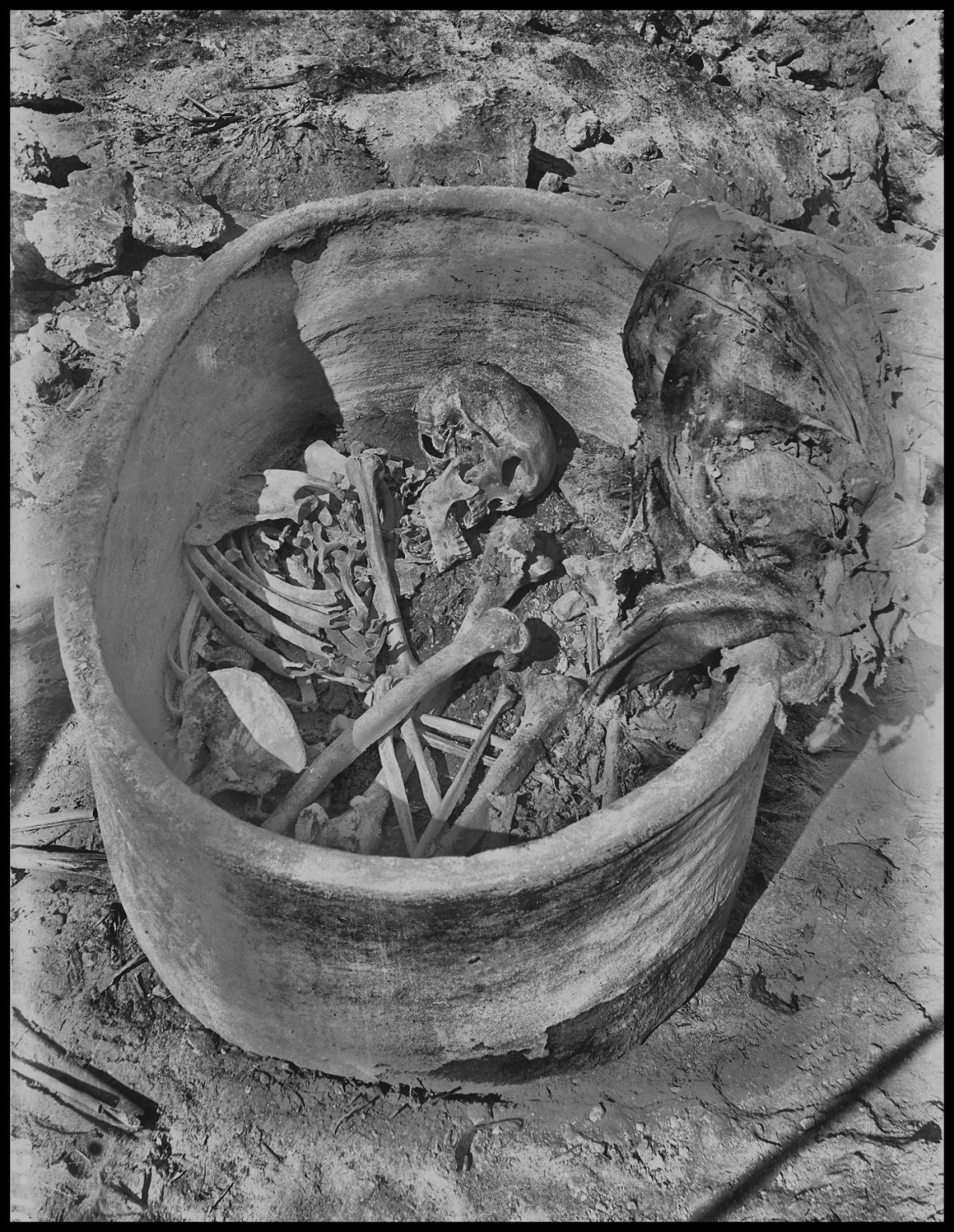 First complete ancient Egyptian DNA genome reveals his occupation ...