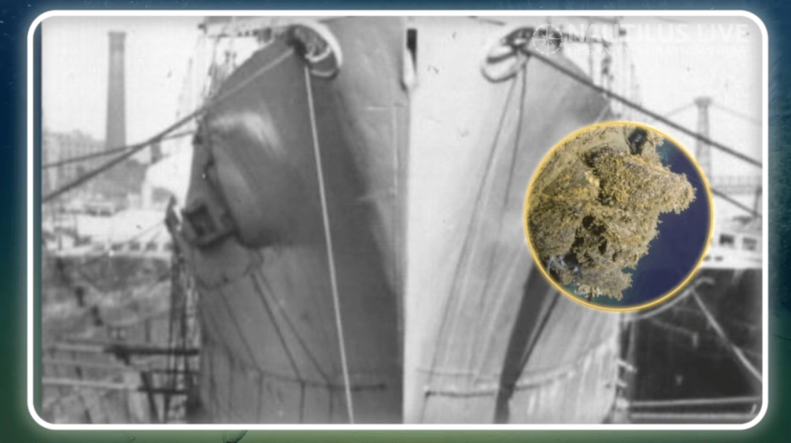 Shipwreck fragment linked to one of WWII’s strangest rescue tales ...