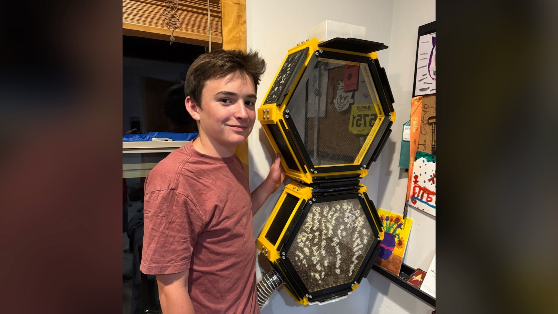 This teen 3D-printed a beehive for his bedroom | Popular Science