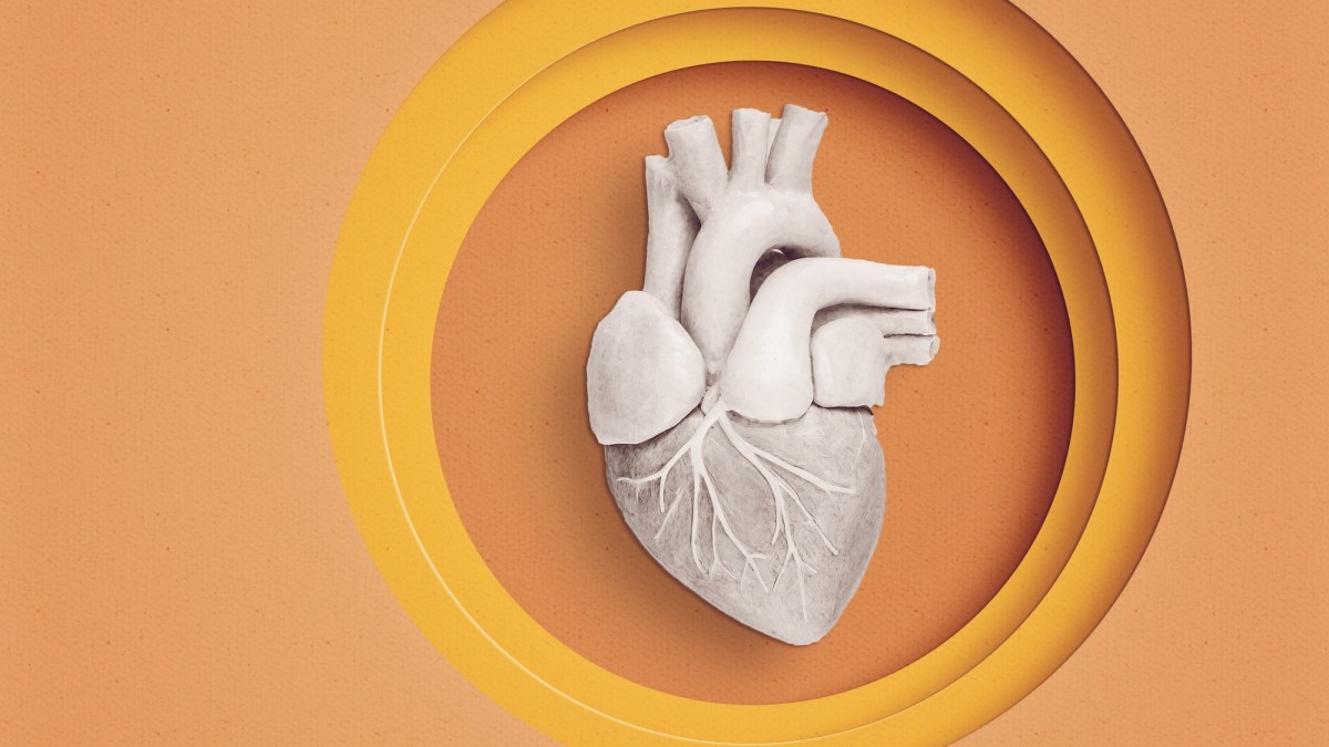 Surgeons develop 2 ways to 'restart' hearts without a donor's body ...