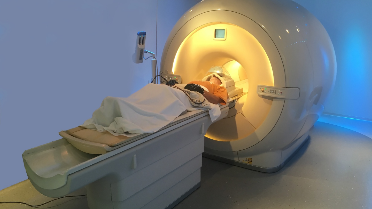 How does your brain know something is real? | Popular Science