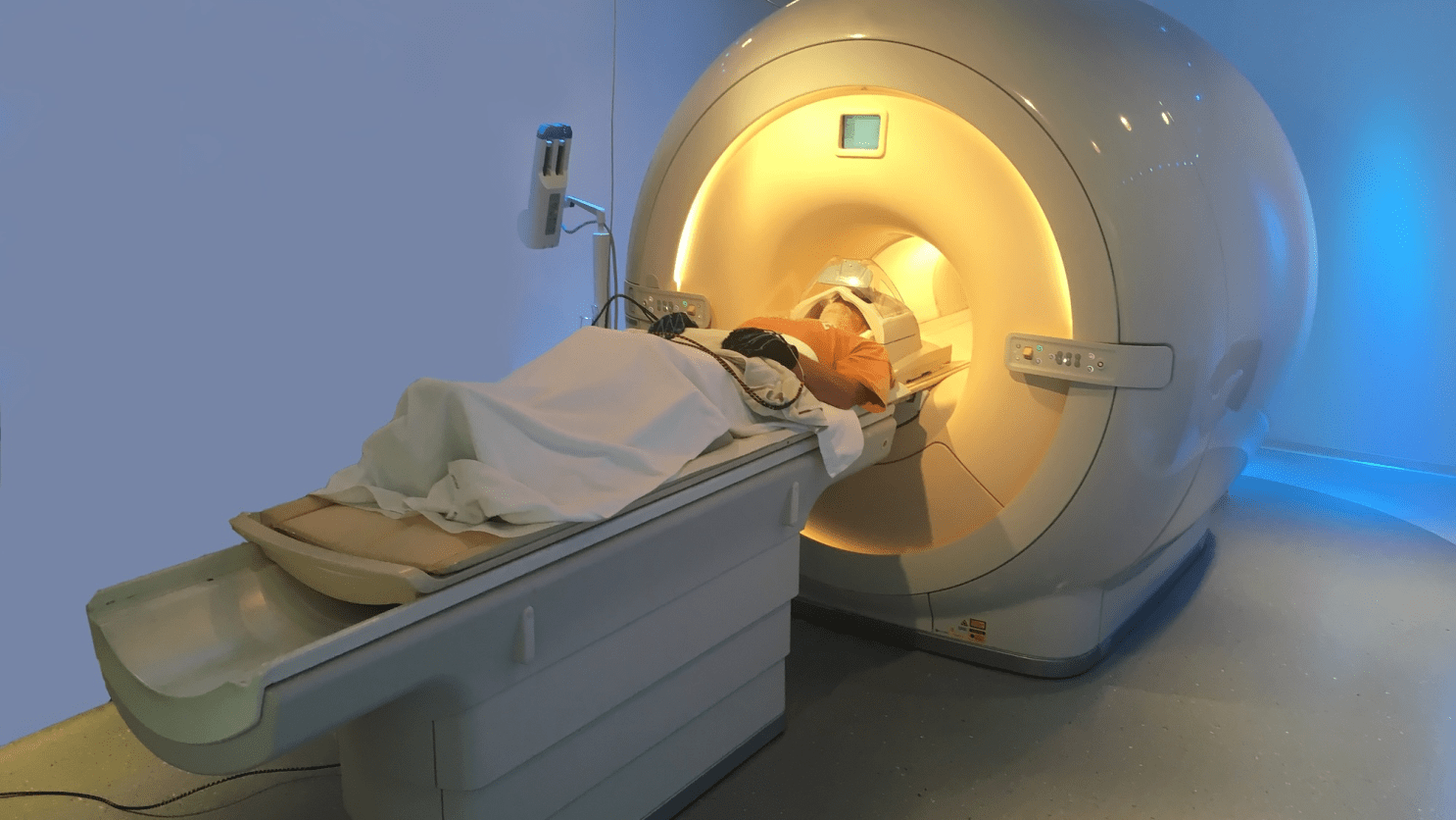 How does your brain know something is real? | Popular Science