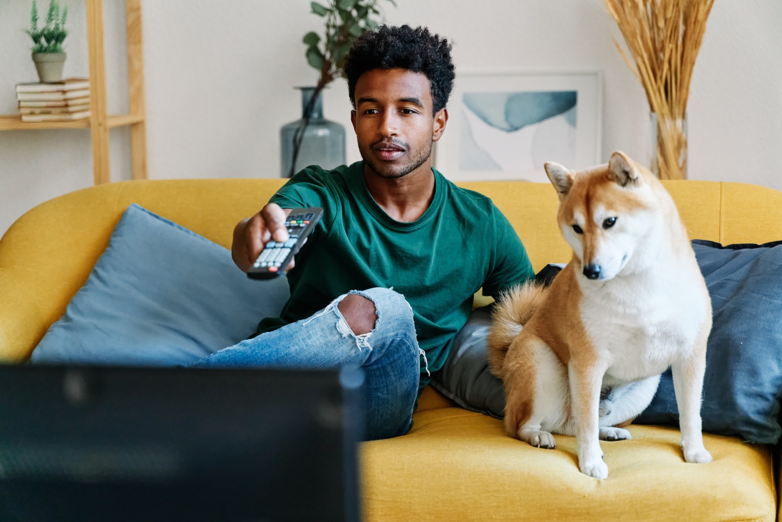 Science reveals dogs' favorite type of TV | Popular Science