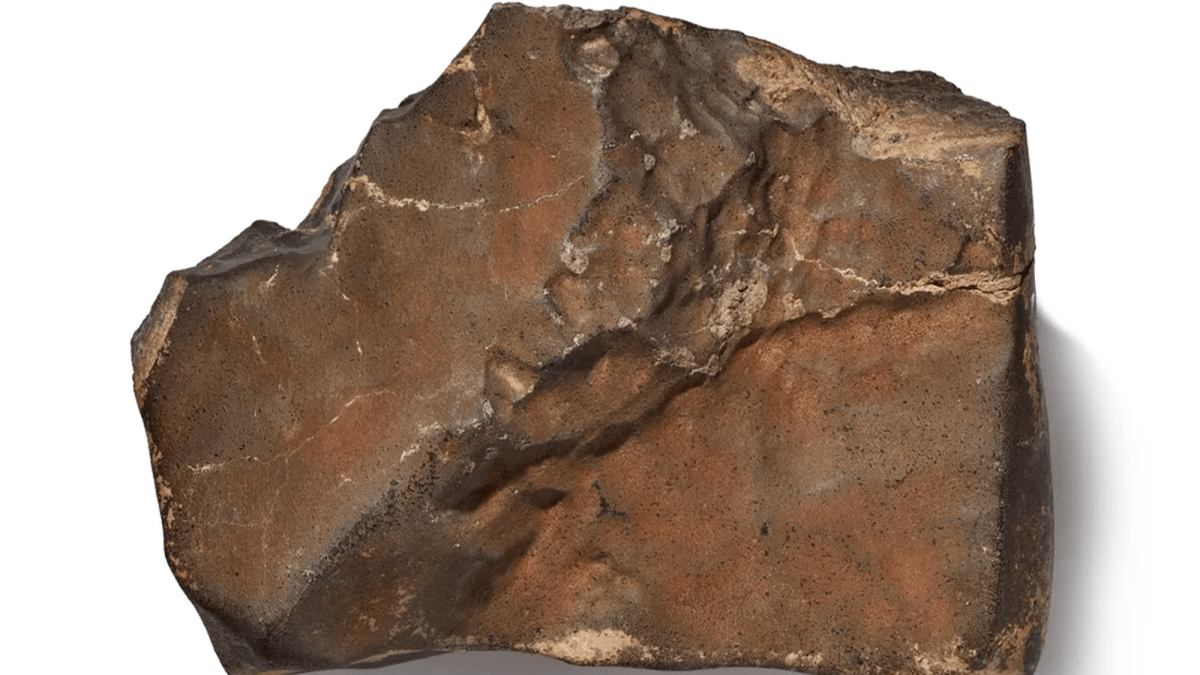 Largest chunk of Mars on Earth sells for $5.3 million | Popular Science