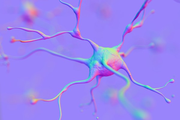 Even old brains can make new neurons, study suggests | Popular Science