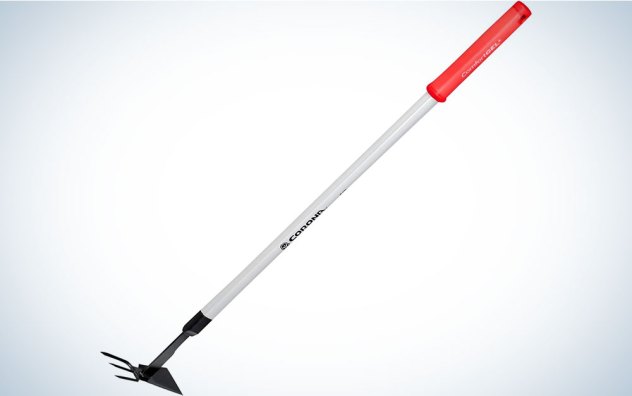 Old-school gardening tools that are still worth using | Popular Science