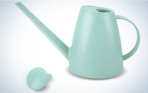 Old-school gardening tools that are still worth using | Popular Science