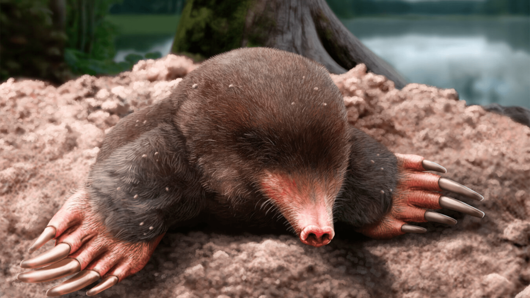 Prehistoric ‘scalopini’ mole fossil uncovered in an ancient Spanish ...