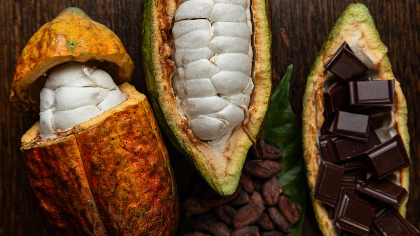 How to make perfect chocolate, according to science | Popular Science