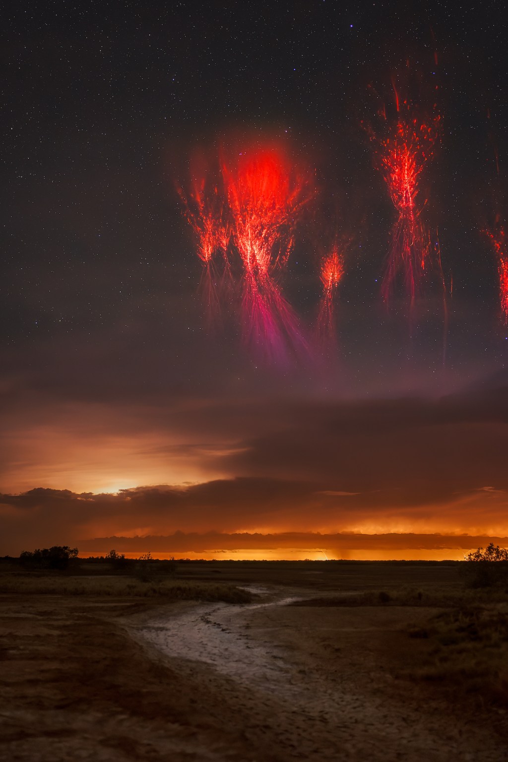 12 dazzling images from the 2025 Capture the Dark photography contest ...
