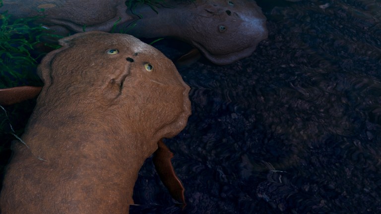 A googly-eyed fish could upend evolutionary history | Popular Science