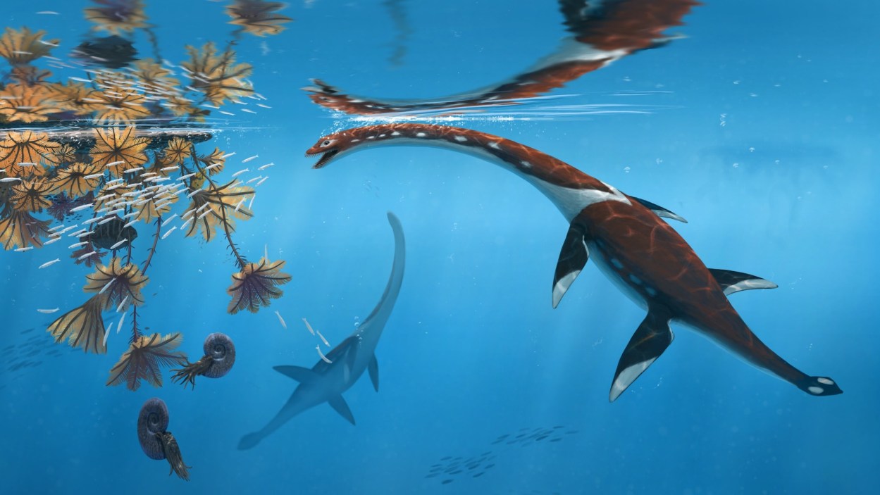 Paleontologists discover ‘unusual’ long-necked plesiosaur in Germany ...