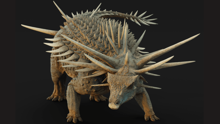 Stubby dinosaur took spikey armor to the extreme | Popular Science