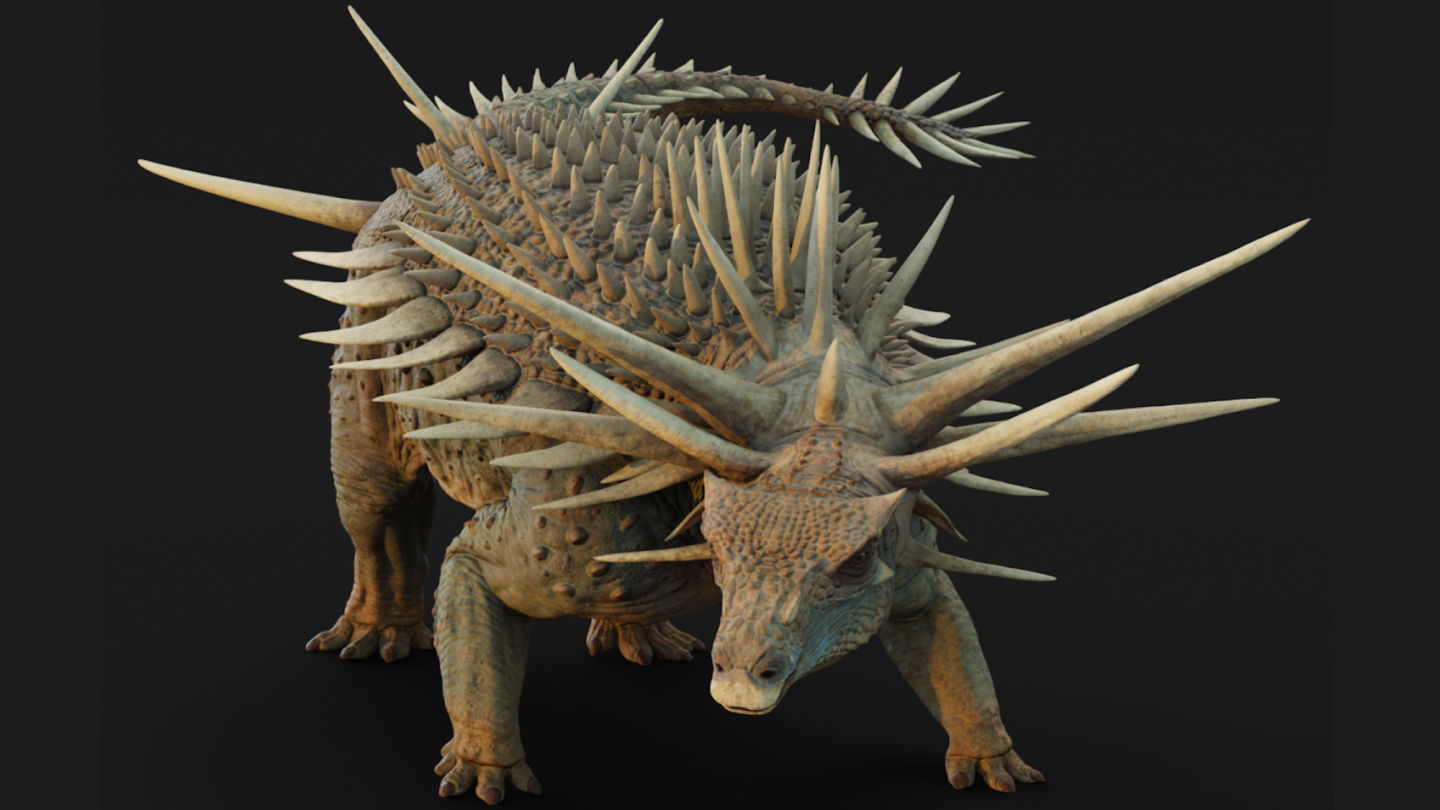 Stubby dinosaur took spikey armor to the extreme | Popular Science