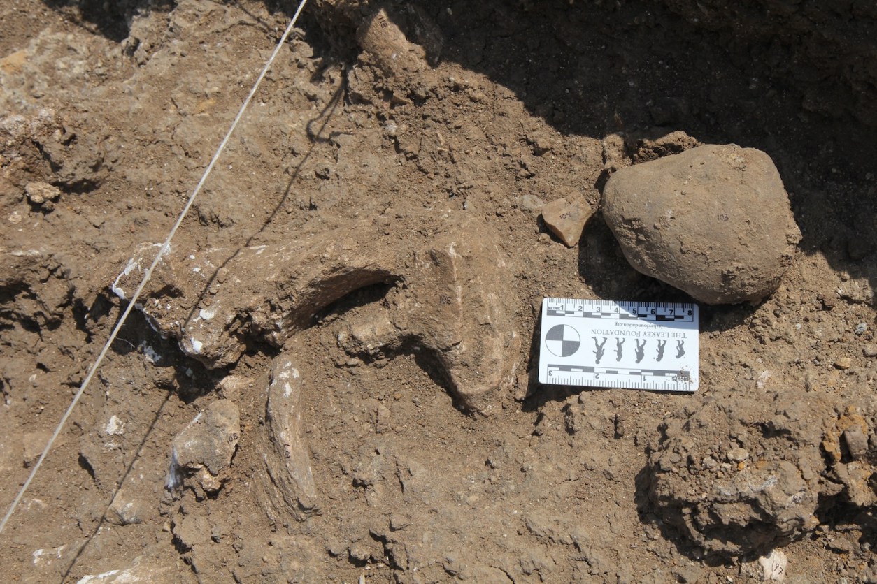 Stone Age humans traveled for miles to find the perfect rocks | Popular ...