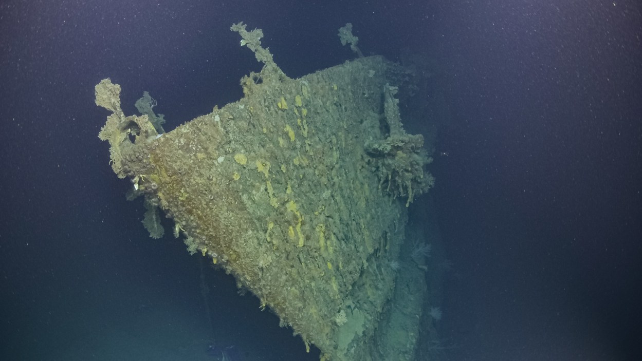 13 World War II shipwrecks captured in stunning detail | Popular Science