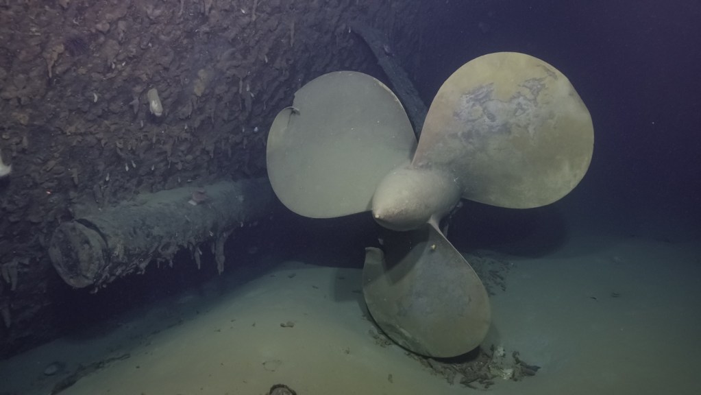 13 World War II shipwrecks captured in stunning detail | Popular Science