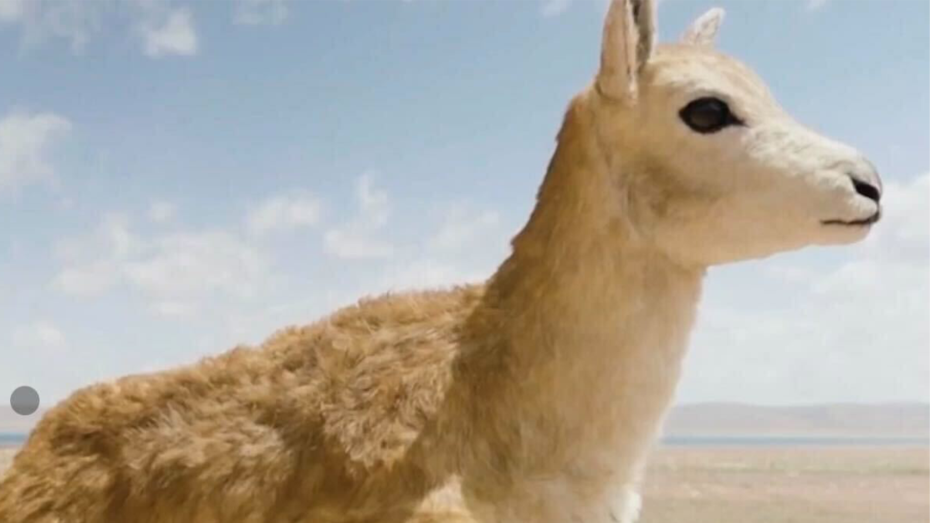 A furry antelope robot is keeping tabs on its organic cousins | Popular ...