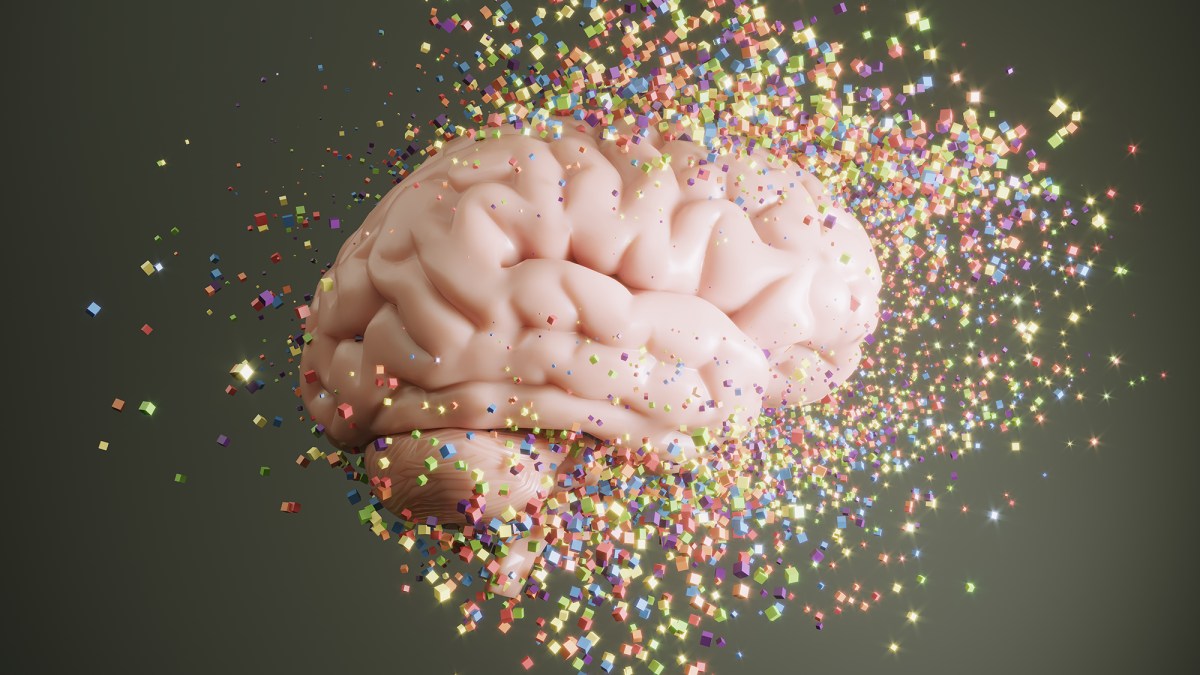 How your brain can tell squishy 'stuff' from hard 'things' | Popular ...