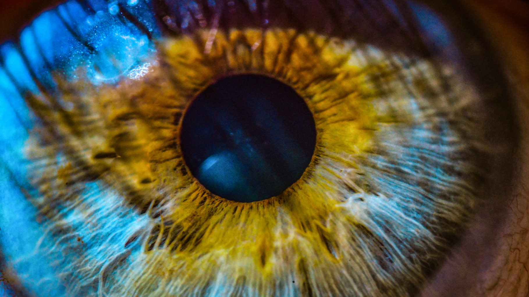 LASIK without the laser? Rabbit eyeballs hint at a new option | Popular ...