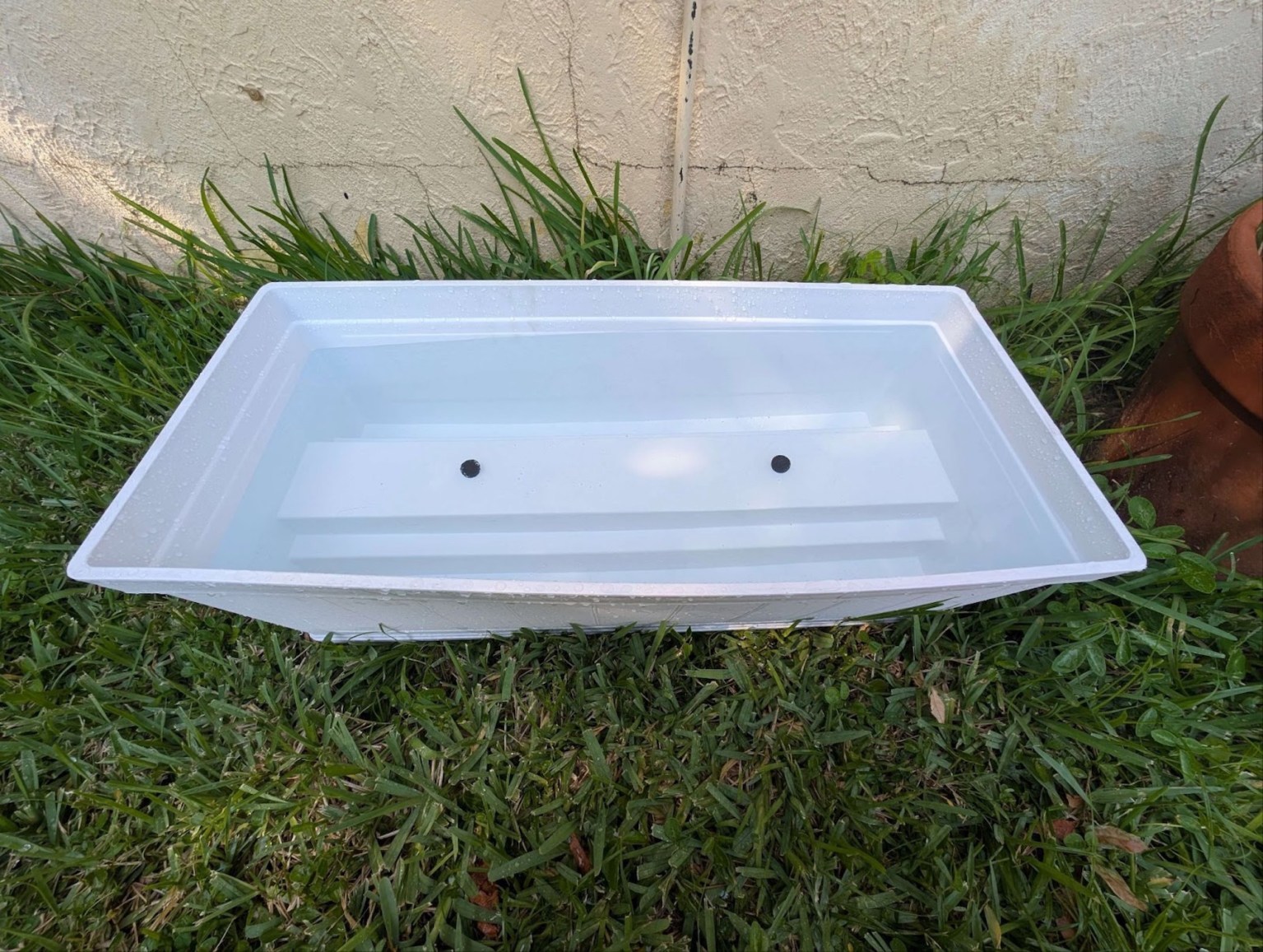 How to build a frog hotel | Popular Science