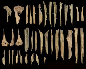 'Wartime cannibalism’ unearthed in prehistoric Spanish cave | Popular ...