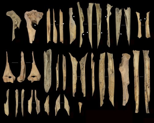 'Wartime cannibalism’ unearthed in prehistoric Spanish cave | Popular ...