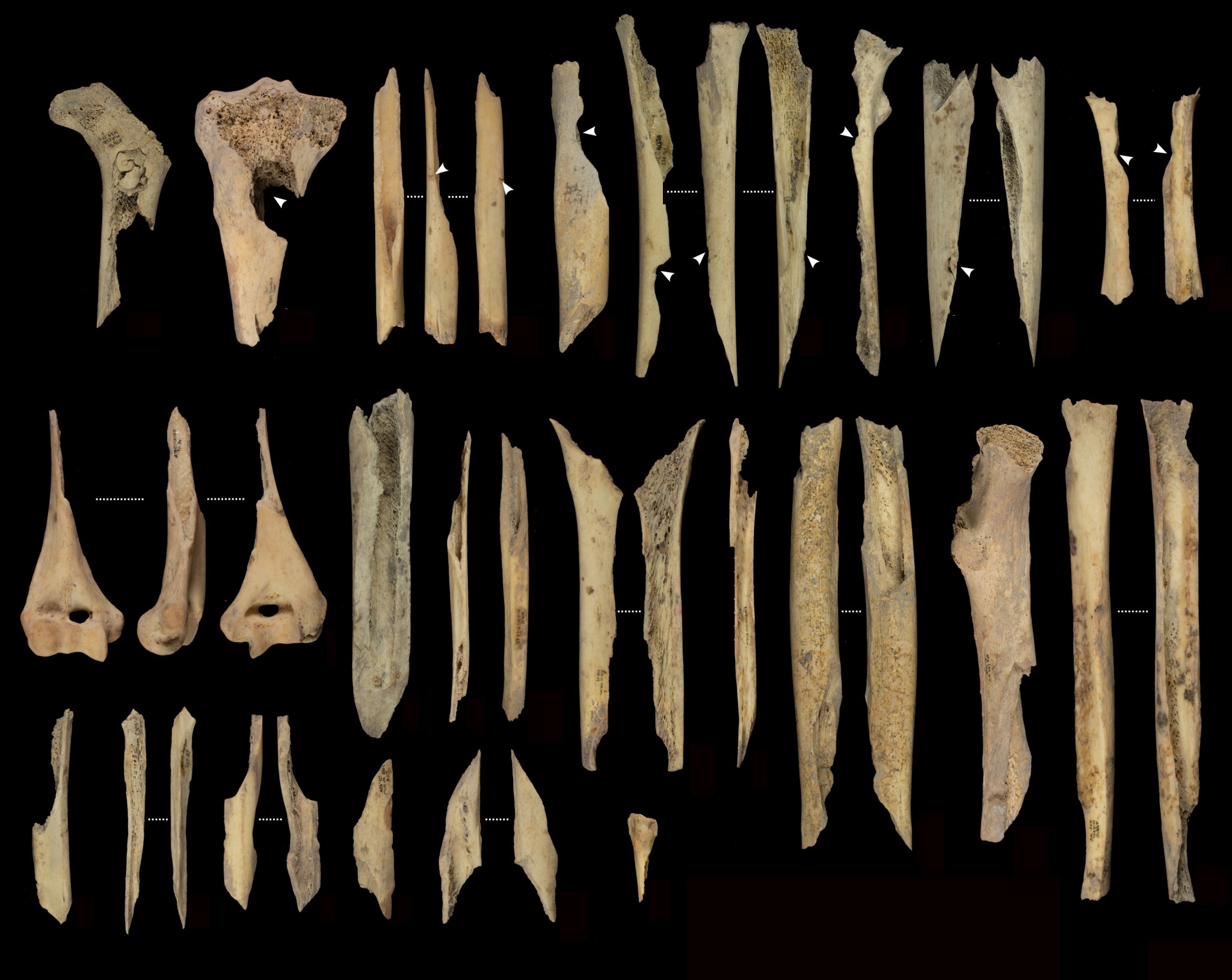 'Wartime cannibalism’ unearthed in prehistoric Spanish cave | Popular ...