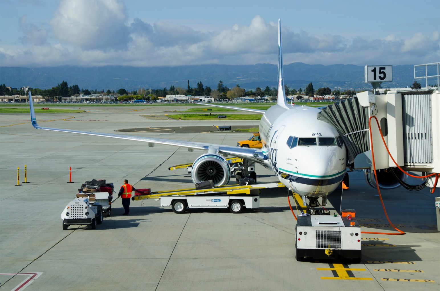 What really happens to your bag after you check it in? | Popular Science
