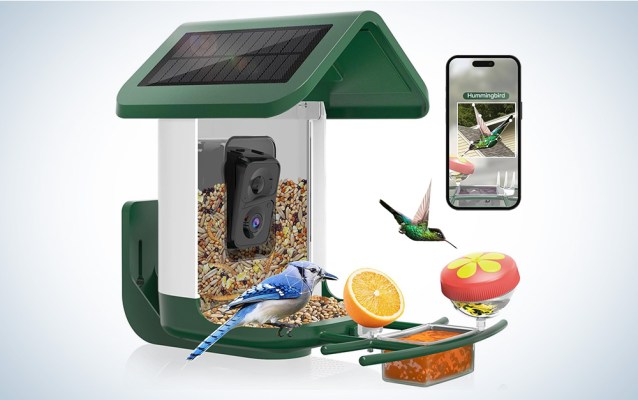 Make birdwatching easy and save $50 with this Onlyfly smart bird feeder ...