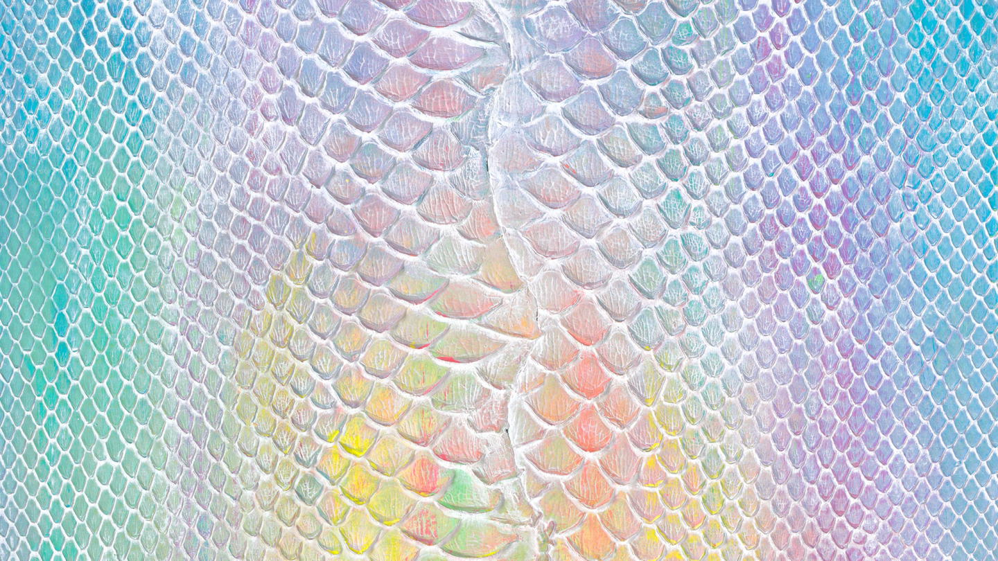 This painting uses leather from an invasive Burmese python | Popular Science