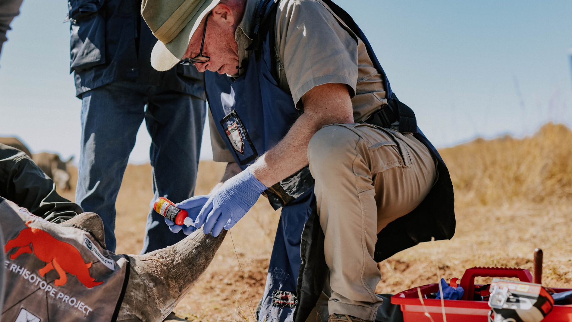 How to stop rhino poaching: make their horns radioactive | Popular Science