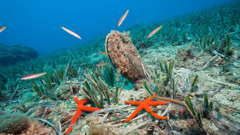 Science Articles, Scientific Current Events | Popular Science