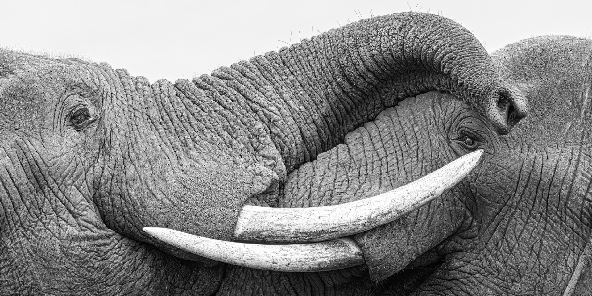 15 striking images from the Black and White Photo Awards 2025 | Popular ...