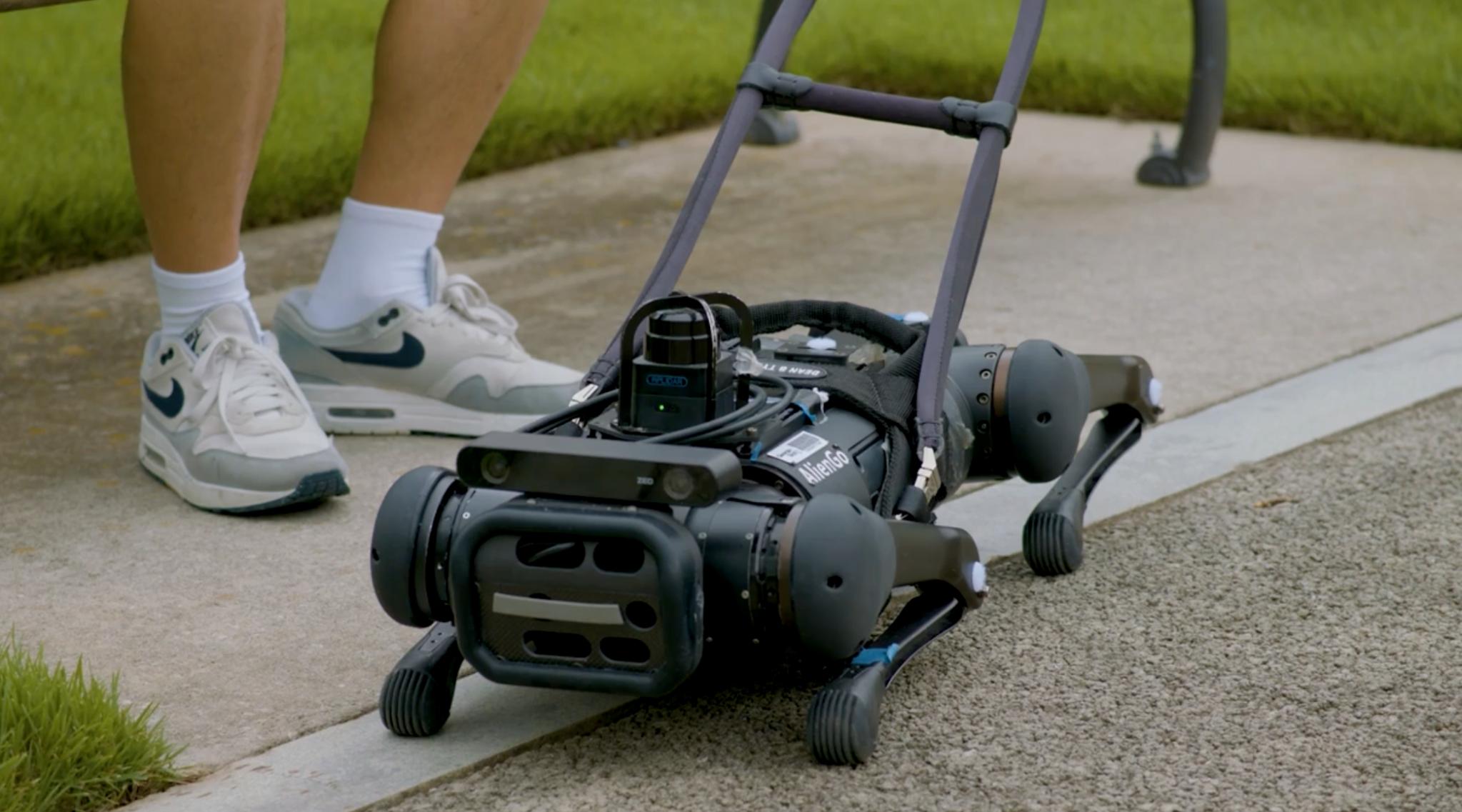 The perfect robot guide dog shouldn't be cute | Popular Science